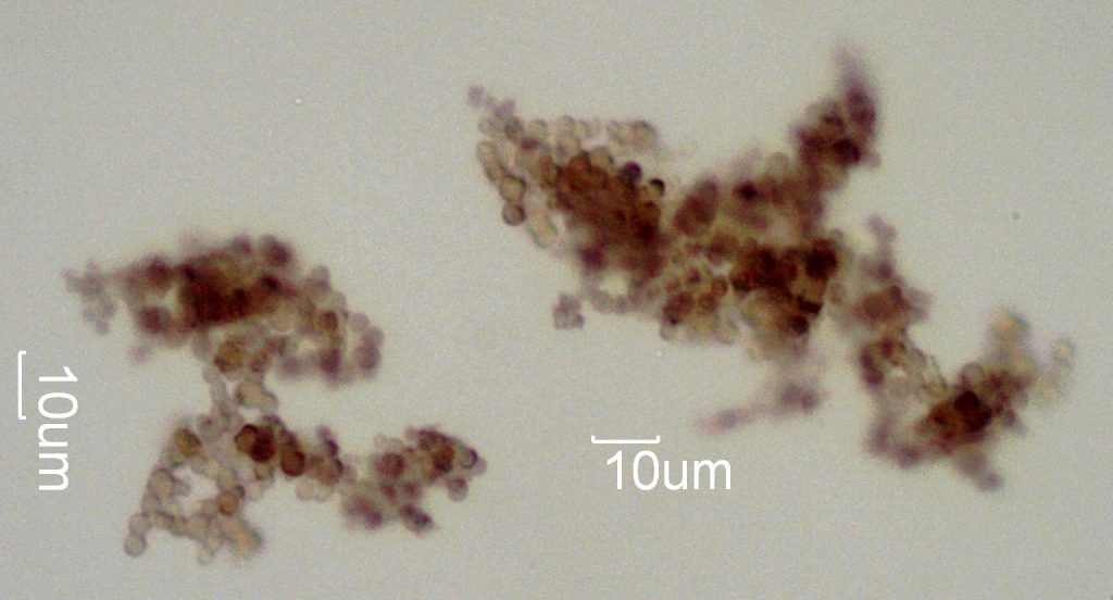 Sediment and Sludge – Ge lab